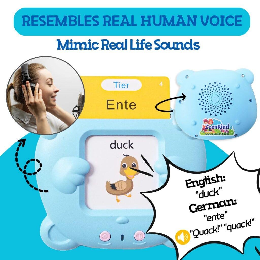 ZEENKIND German & English Talking Flashcards for Kids with 510 ...
